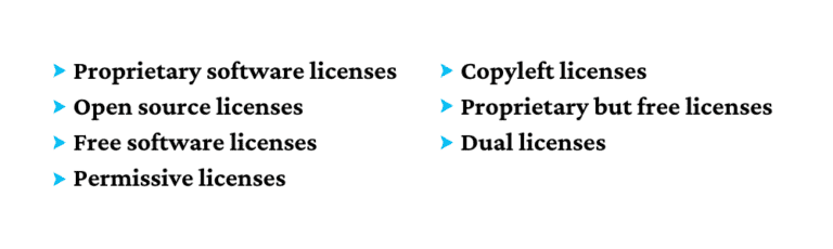 Discover top tips in 2024’s guide to software license management